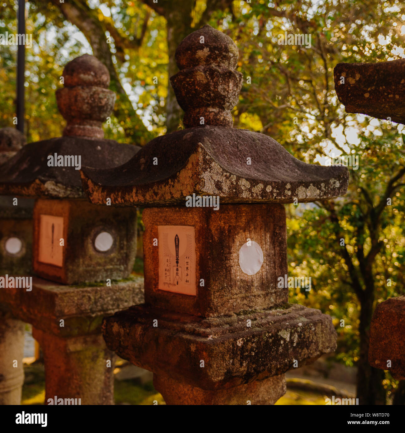 Traditional stone latern covered with moss in warm evening sunlight are ...