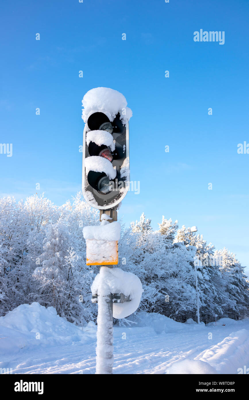 Snow covered traffic lights in winter Stock Photo - Alamy
