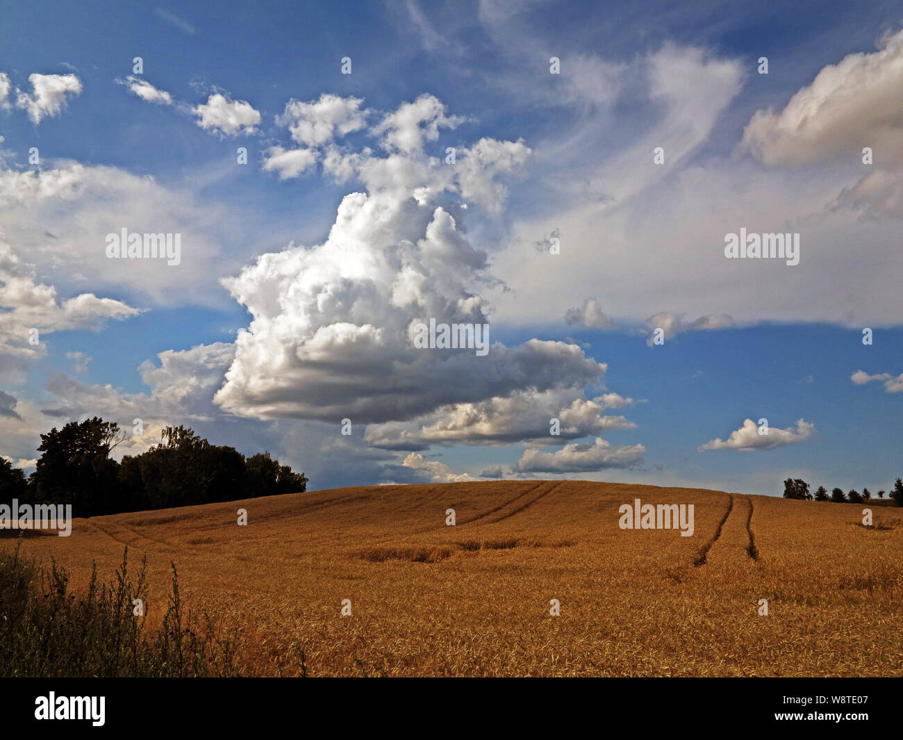 Landscape In East Prussia High Resolution Stock Photography and Images ...