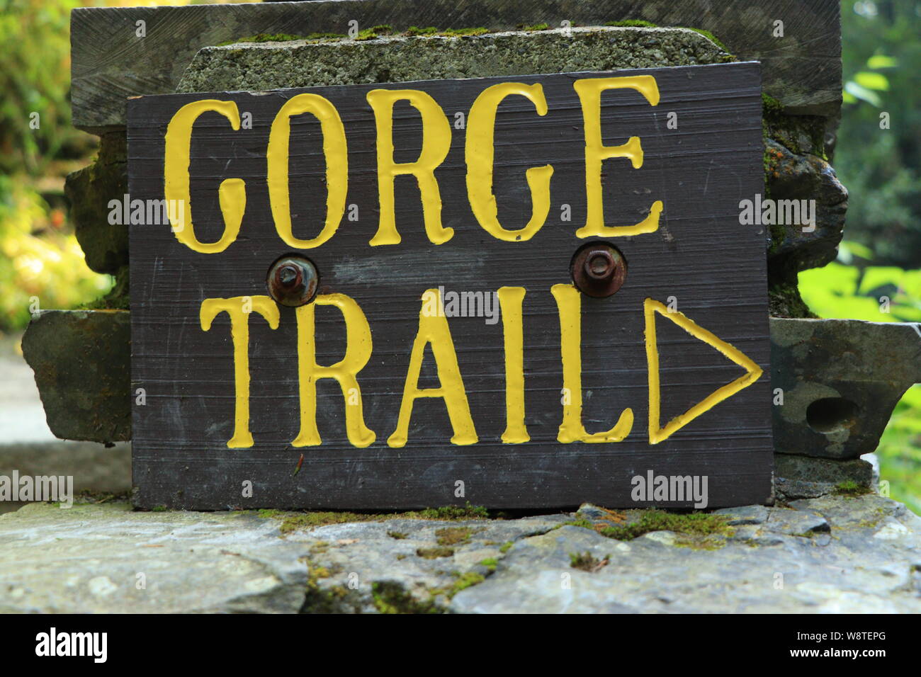 Gorge Trail Sign, Finger Lakes, New York Stock Photo - Alamy