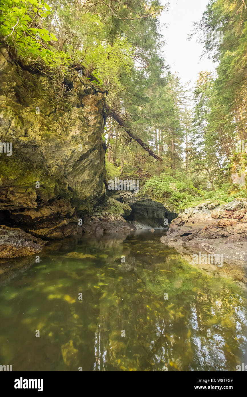 Tongass National Forest Alaska High Resolution Stock Photography and ...