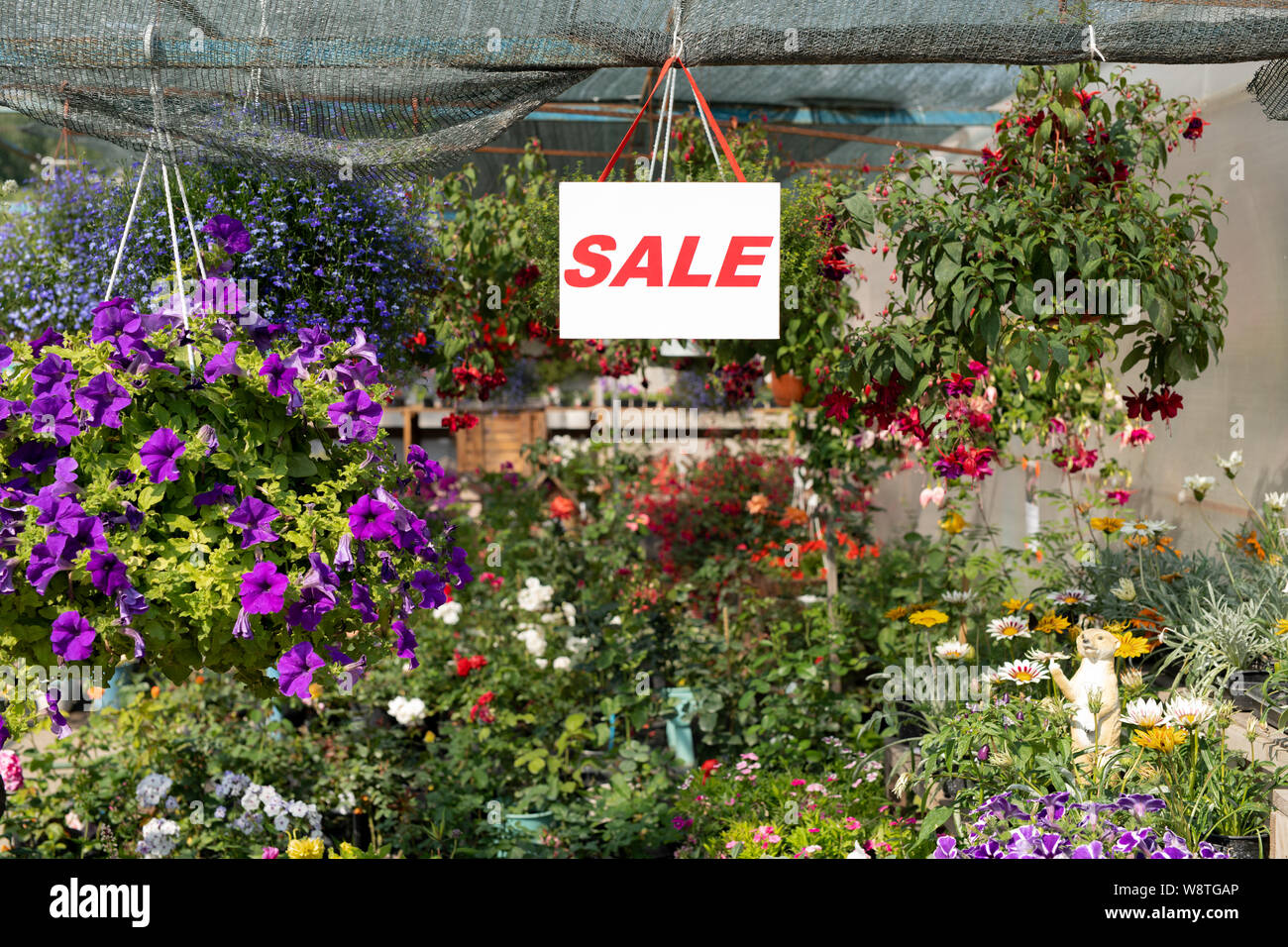Plant sale sign hi-res stock photography and images - Alamy