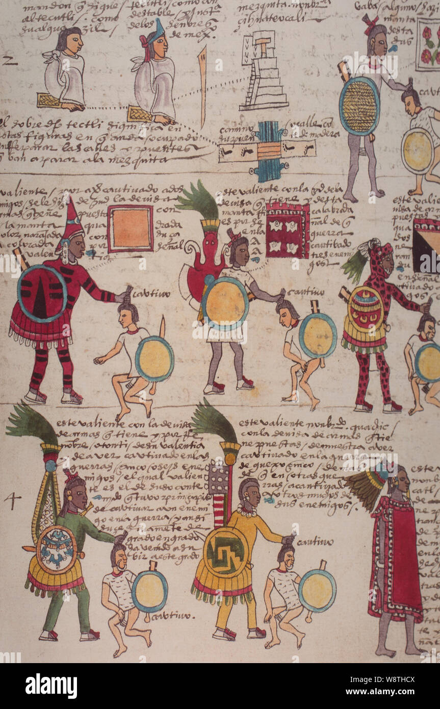 Codex Mendoza High Resolution Stock Photography and Images - Alamy