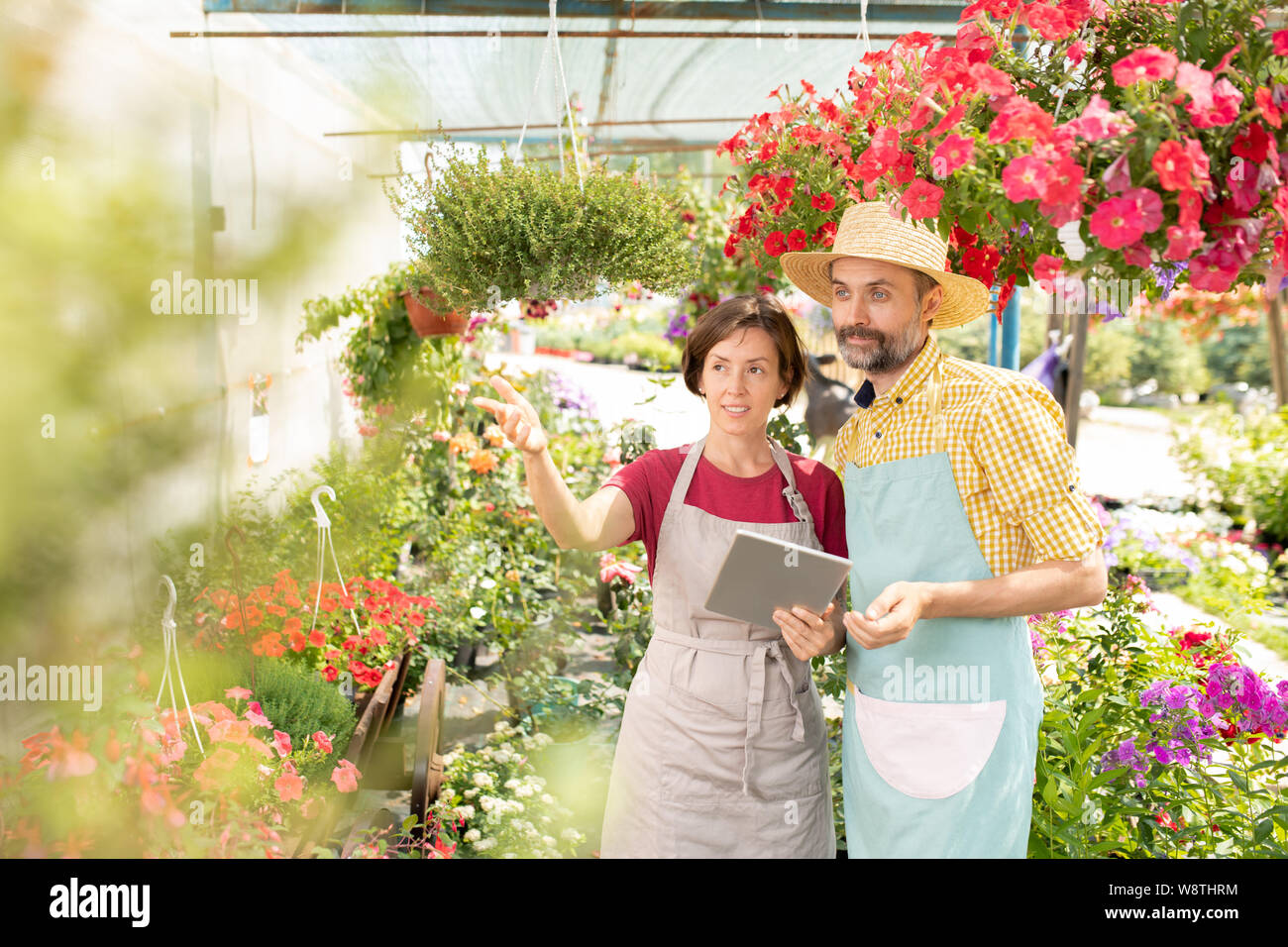 Two men working in their garden hi-res stock photography and images - Alamy