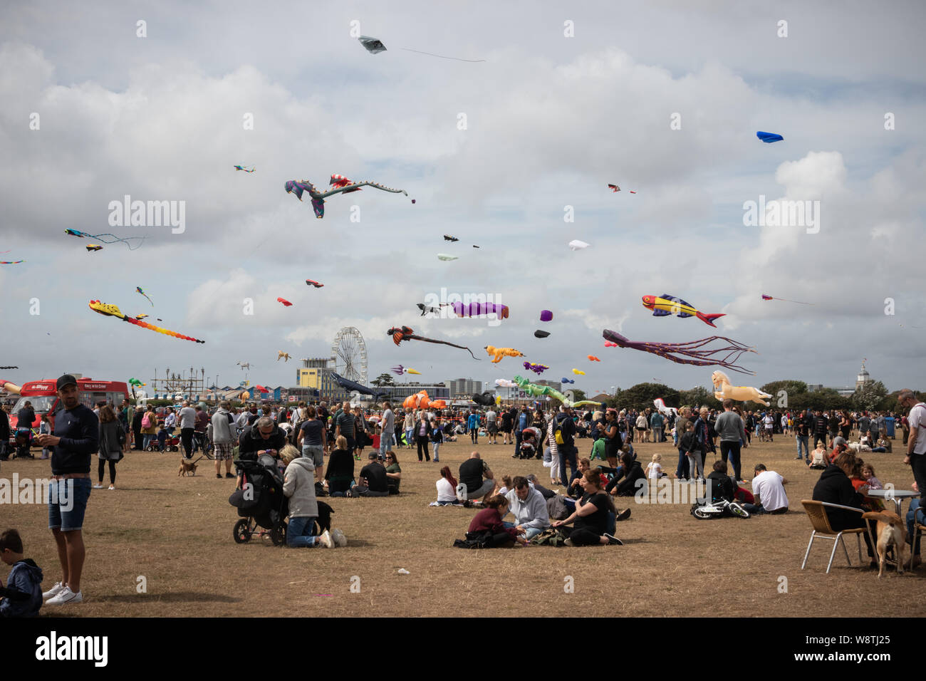 crowds watching kites fly at Portsmouth international kite festival ...
