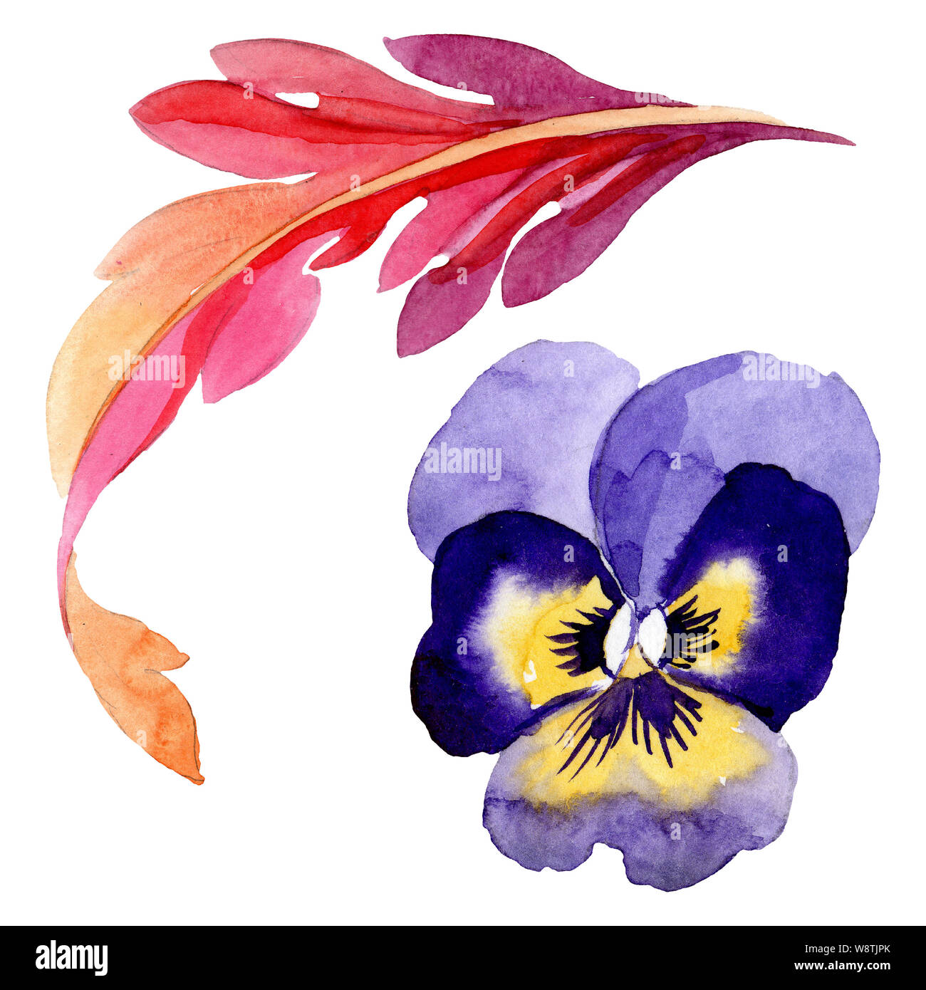Ornament with pansies botanical flowers. Watercolor background ...