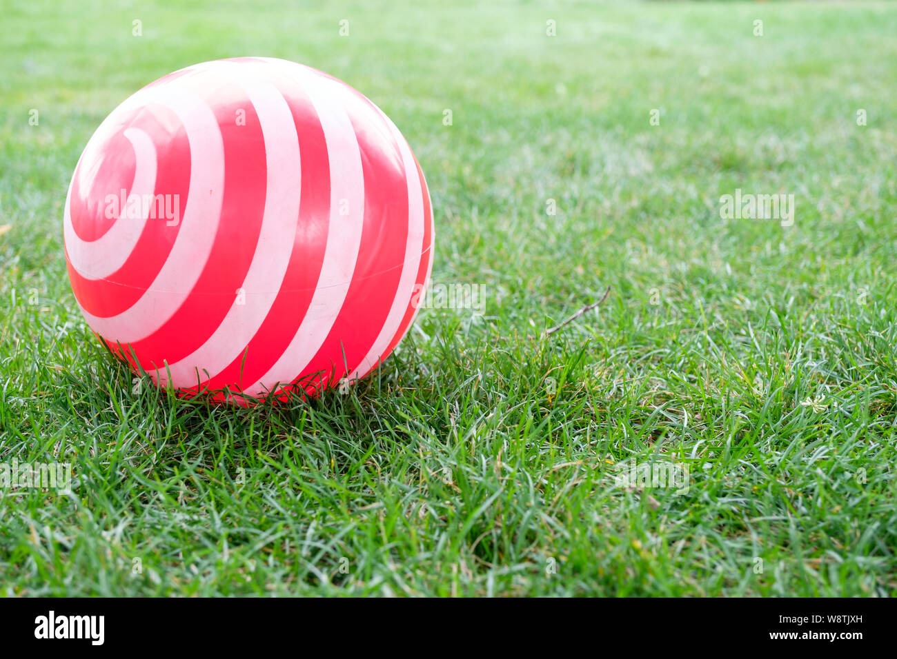 Red ball on green grass Stock Photo - Alamy