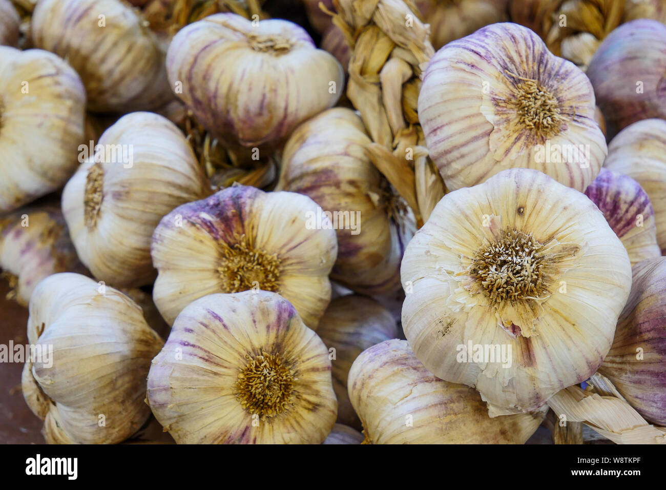 Garlic displayed on stall at the covered market, Saint-Jean du Gard ...