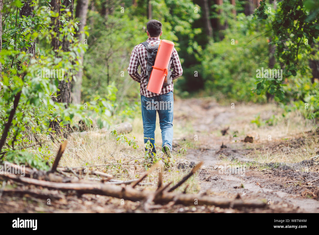 Concept breathtaking journey and adventure. Back view hike brave ...