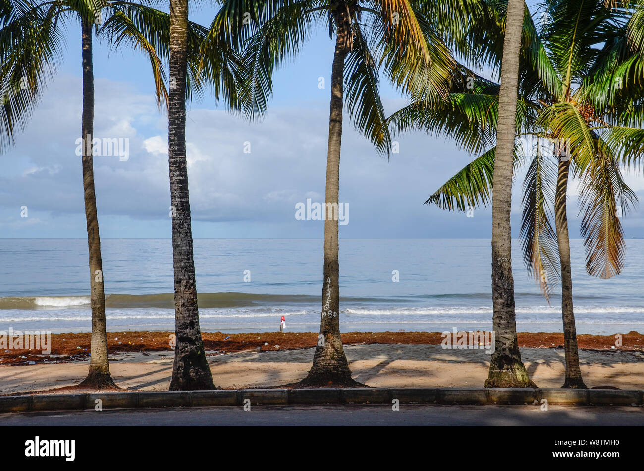 Palm trees line the road along Lumley Beach in Freetown, Sierra Leone ...
