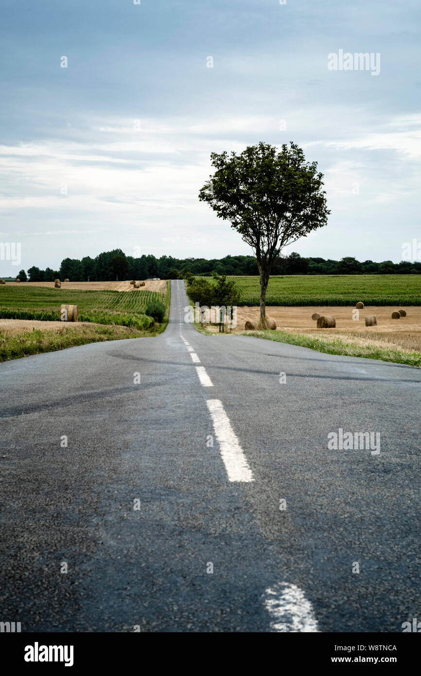 Winding tar road hi-res stock photography and images - Alamy