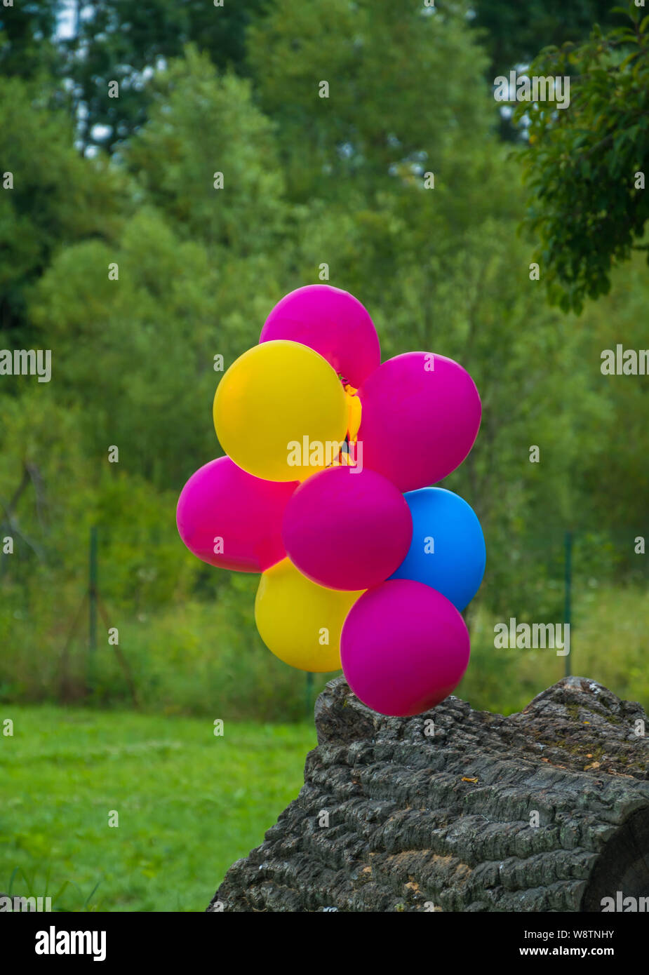 Multicolored balloons in outdoor on green natural background Stock ...
