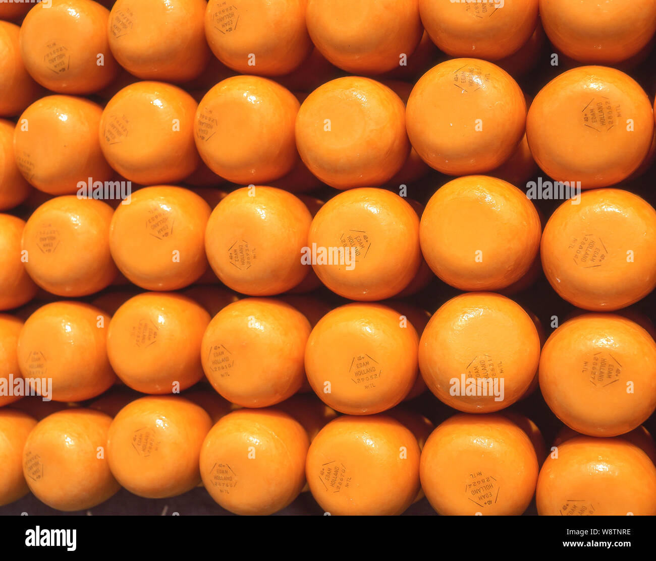 Waxed cylinders of Edam cheese, Edam, Noord-Holland, Kingdom of the ...