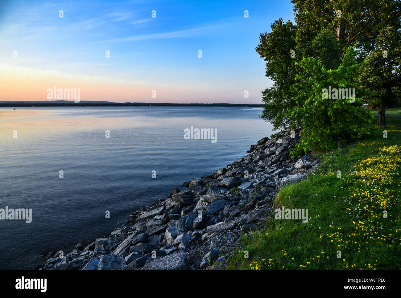 Blue Marjan High Resolution Stock Photography and Images - Alamy