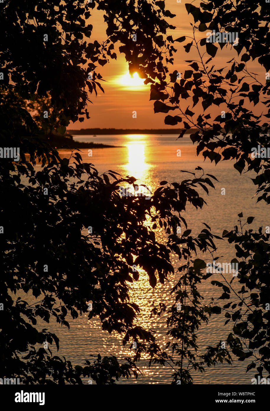 Sunset Behind Leaves Stock Photo - Alamy