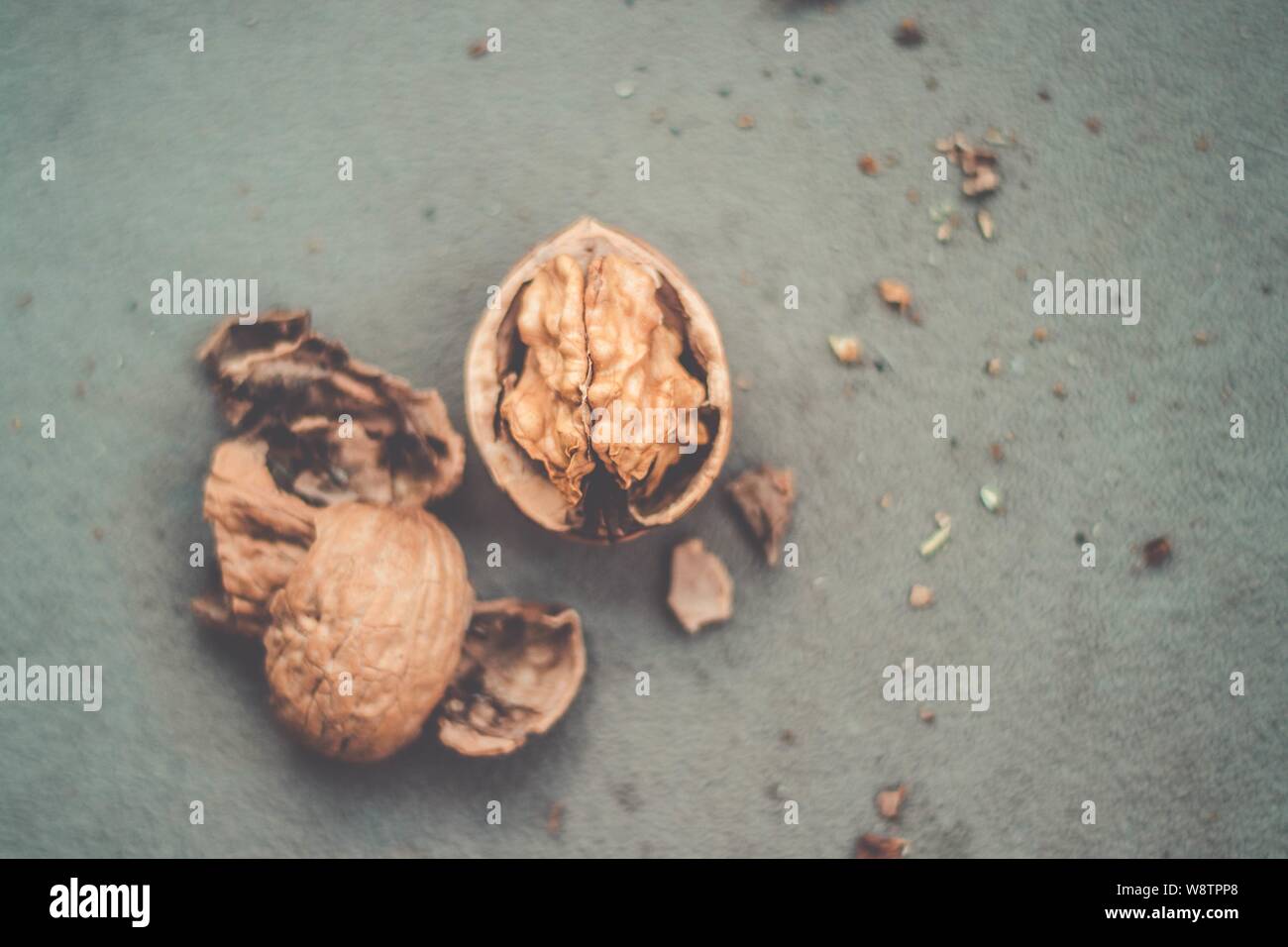 Drupe shell hi-res stock photography and images - Alamy