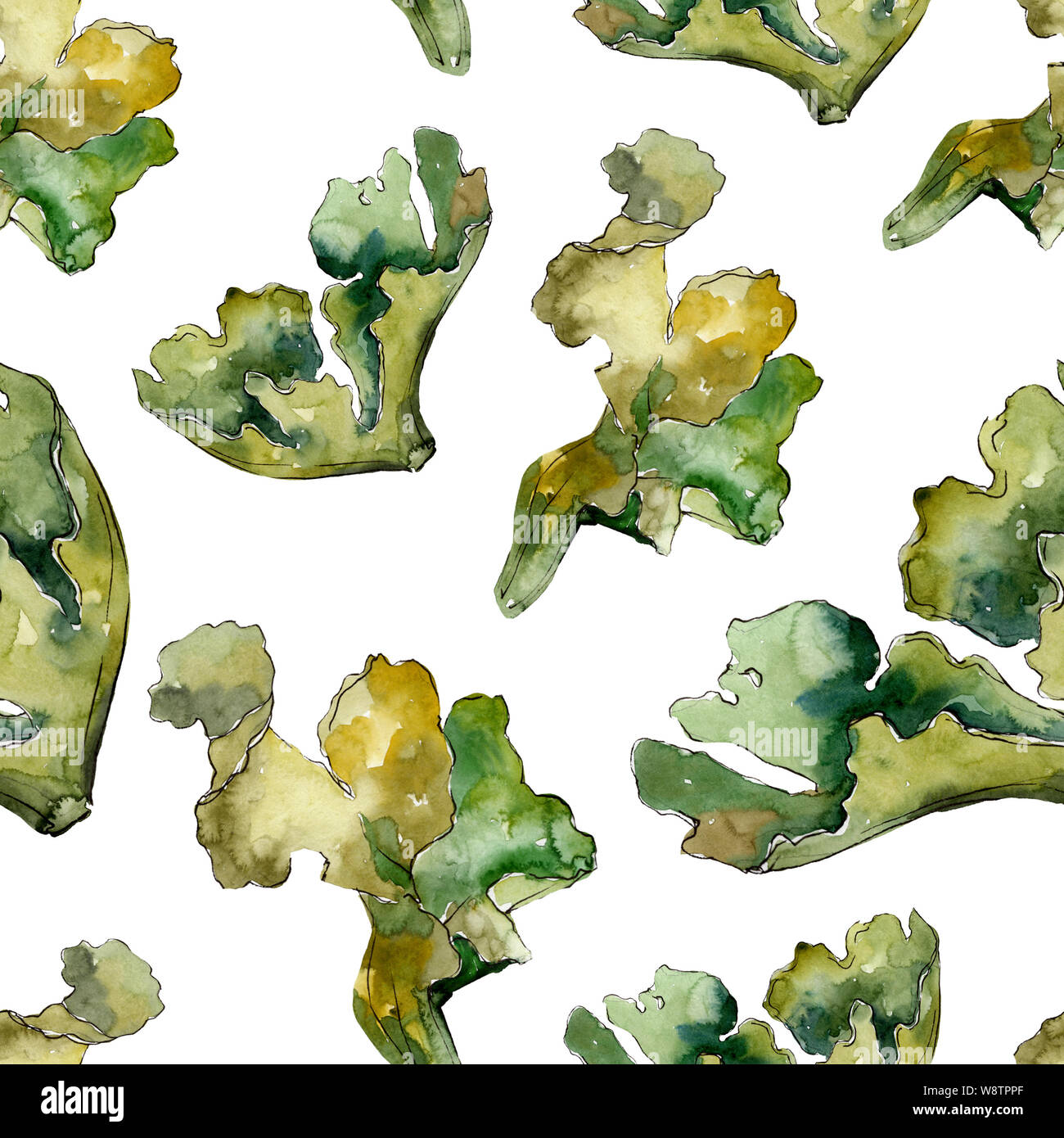 Green aquatic underwater nature coral reef. Watercolor illustration set ...