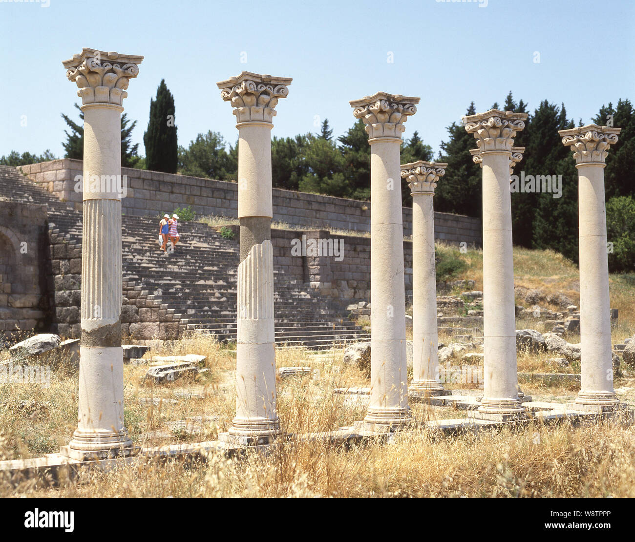 Corinthian columns on the middle terrace of the asklepieion plan hi-res ...
