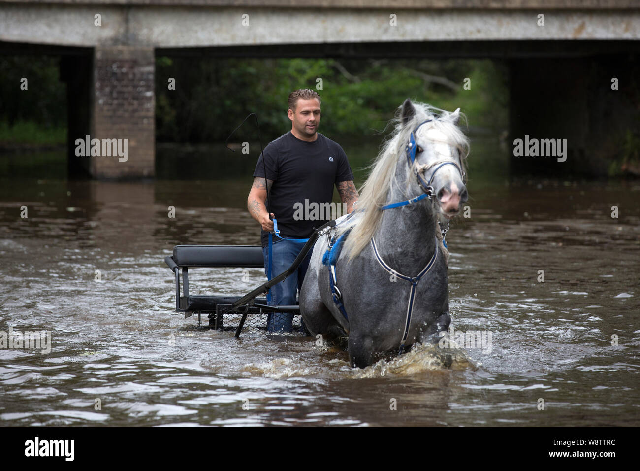 Romani Gypsy travellers meet up for an annual get together in the New ...