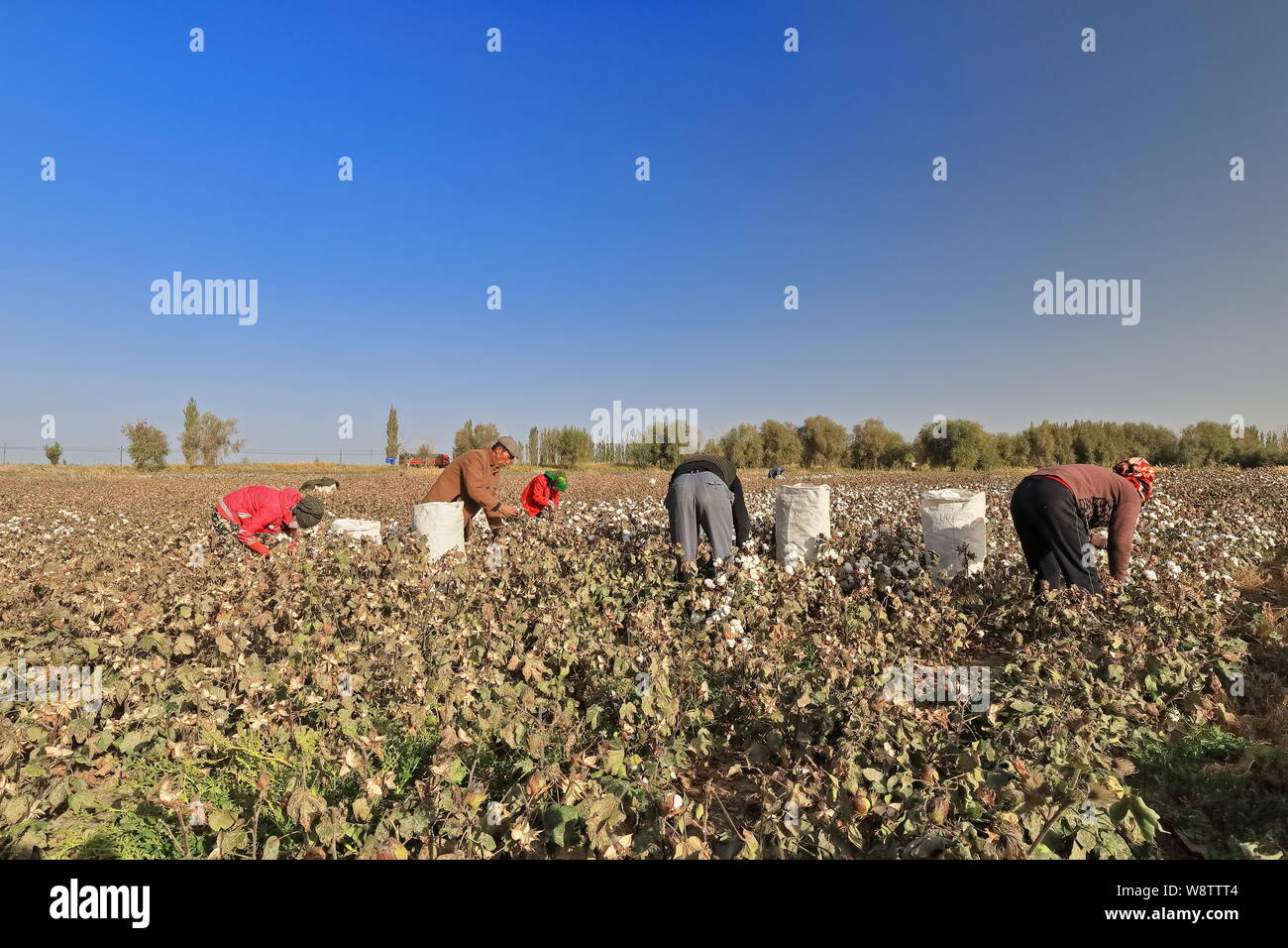 Qiemo cherchen county hi-res stock photography and images - Alamy