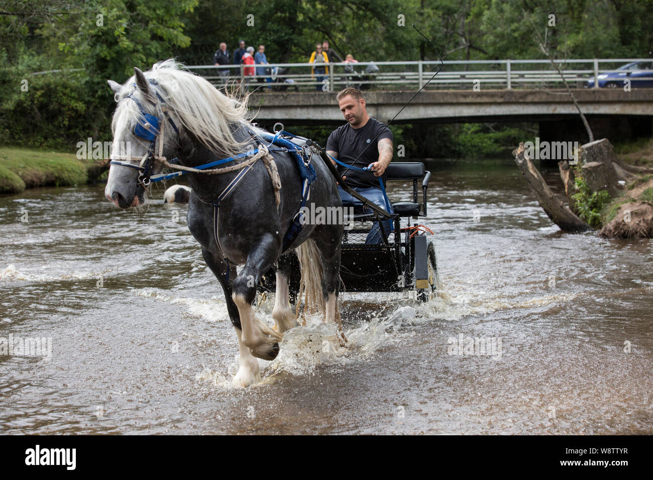 Romani Gypsy travellers meet up for an annual get together in the New ...