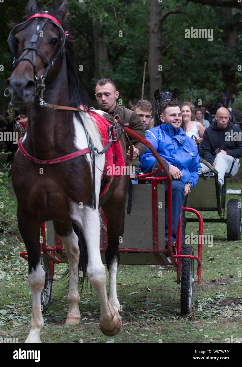 Romani Gypsy travellers meet up for an annual get together in the New ...