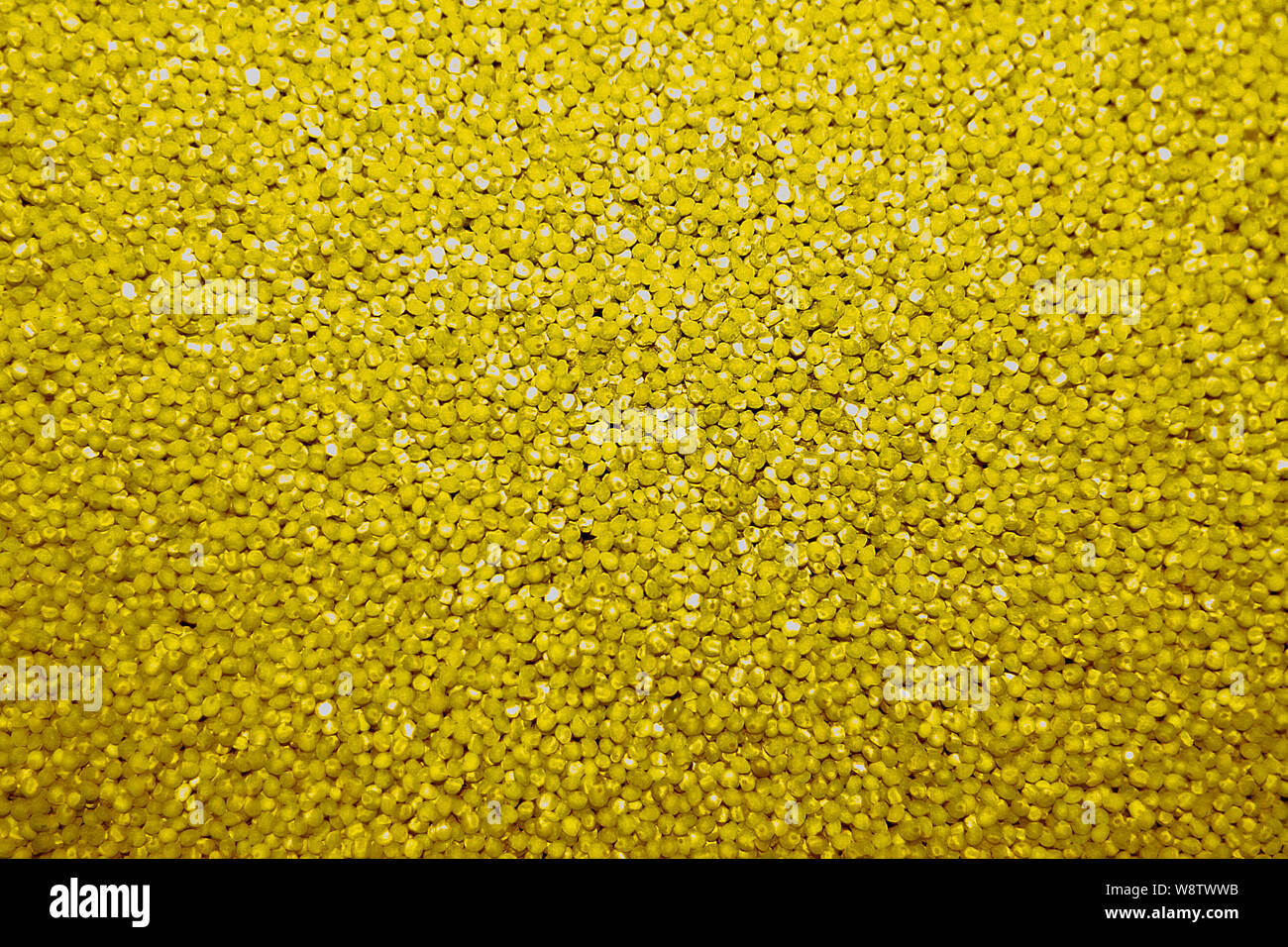 Yellow millet background Stock Photo - Alamy