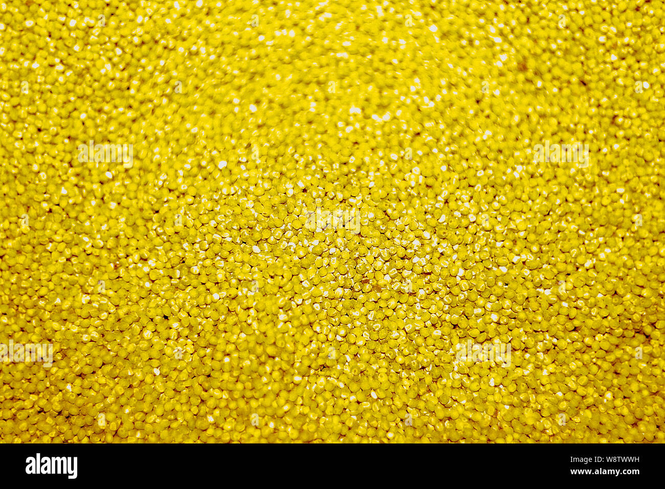 Yellow millet background Stock Photo - Alamy