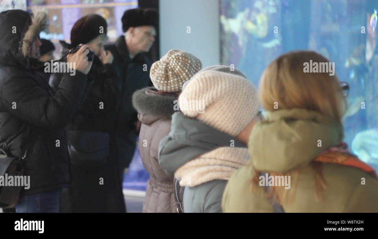 KURSK, RUSSIA - FEBRUARY 18, 2018: people look at the aquarium Stock ...