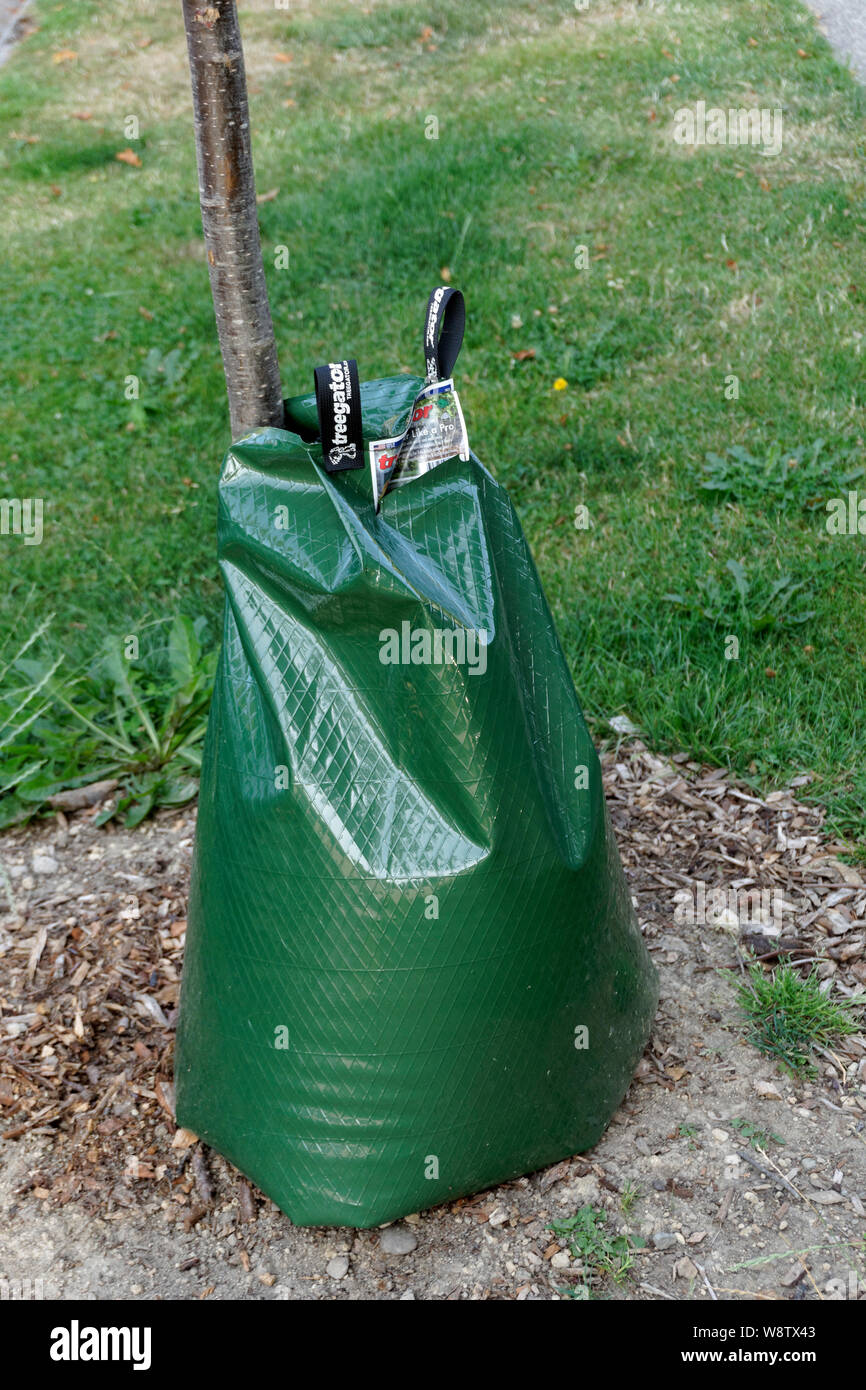 Treegator slow-release watering bag attached to the base of a young ...