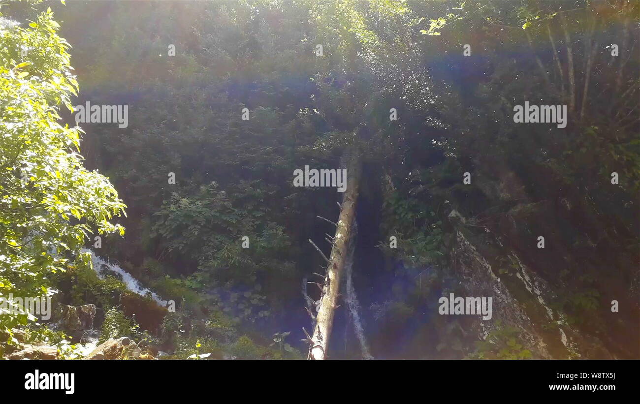 Beautiful fresh waterfall among tall rocks witth greenery in Sochi ...