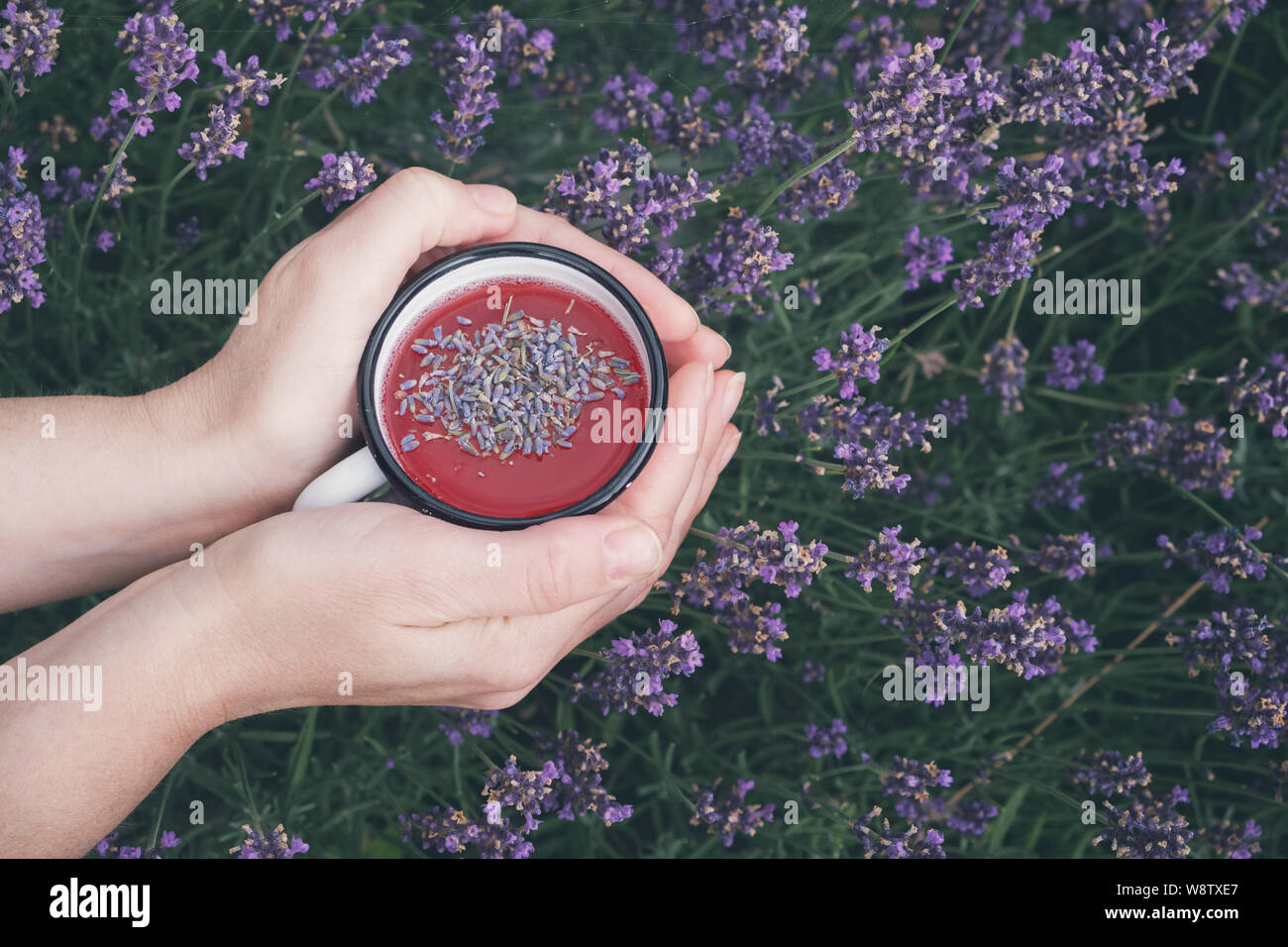 Lavender tea hi-res stock photography and images - Alamy