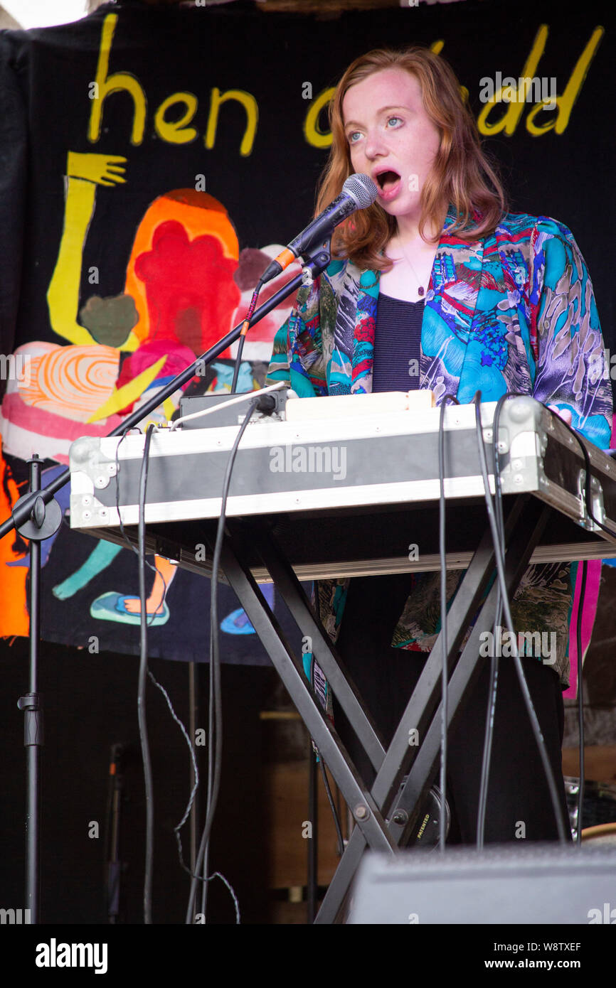 Hen Ogledd live at Supernormal Festival 2019. Brazier's Park ...