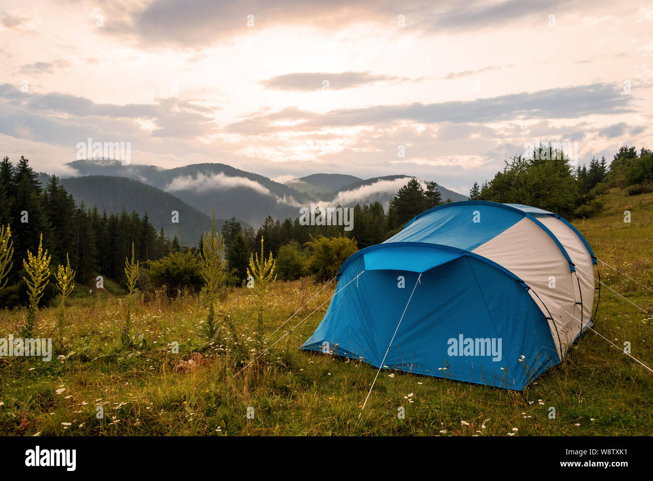 Landscape scenery of camping tent on grass field with background of ...