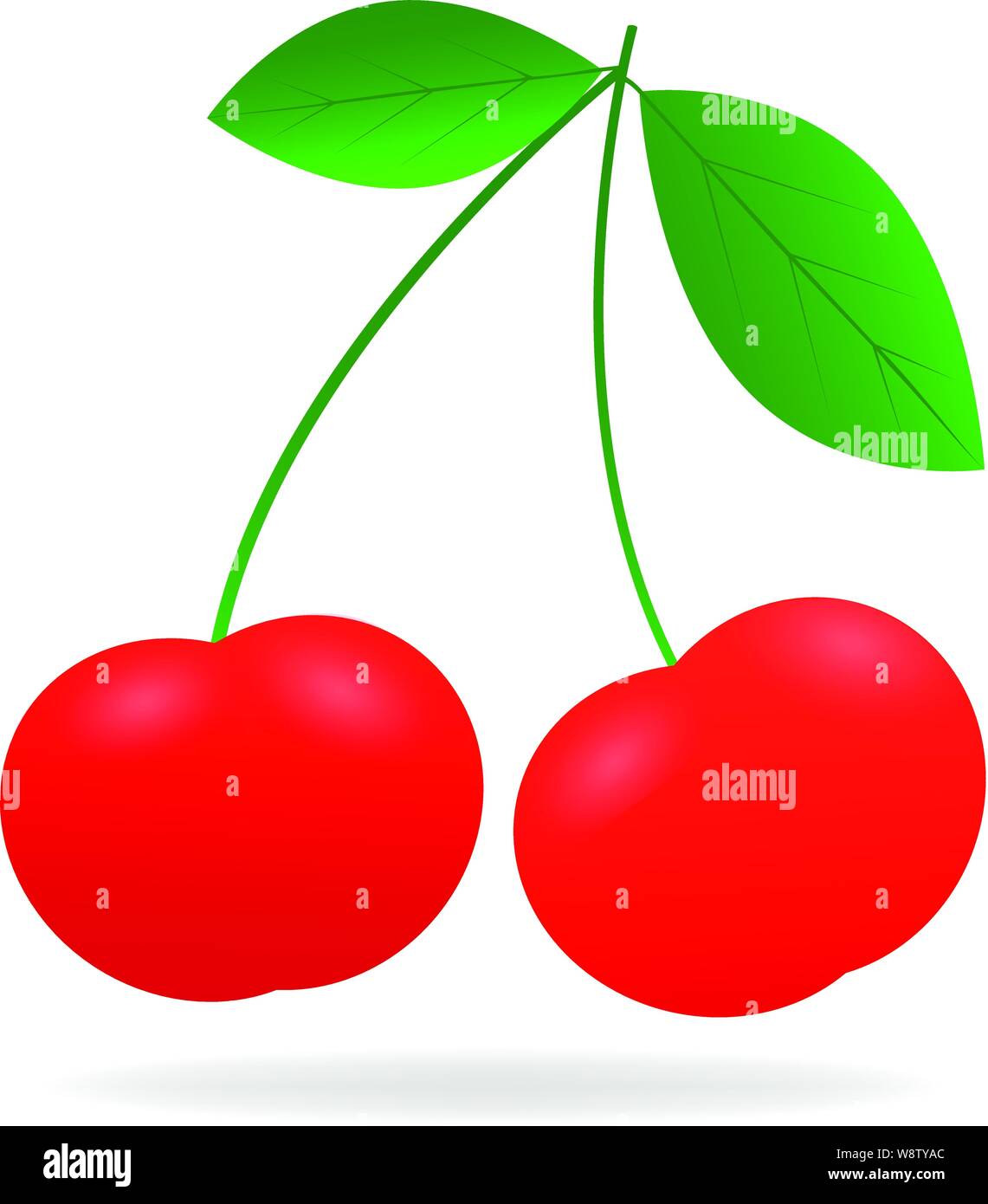 Vector drawing of realistic, bright, juicy berries cherry Stock Vector ...