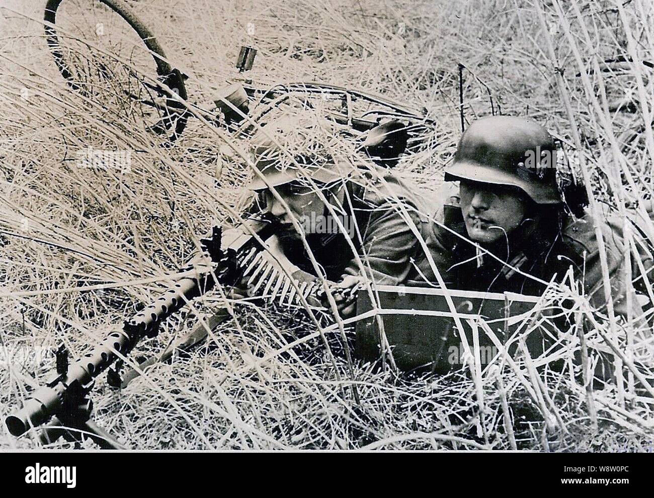 German Soldiers with a Light Machine Gun MG34 in long grass on the ...
