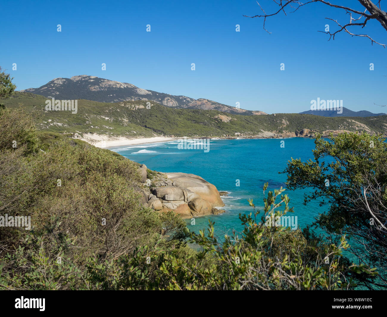 Squeaky Beach, between the green landscape Wilsons Promontory Stock ...