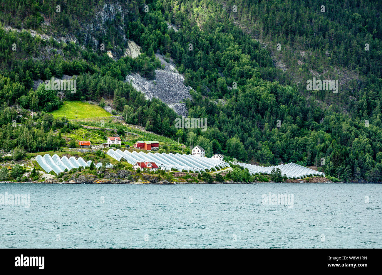 Norway crops agriculture hi-res stock photography and images - Alamy