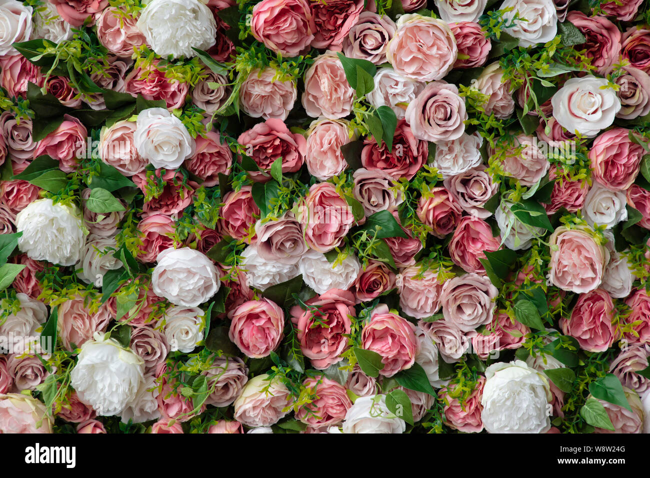 Pink and white roses displayed on a vertical board Stock Photo - Alamy