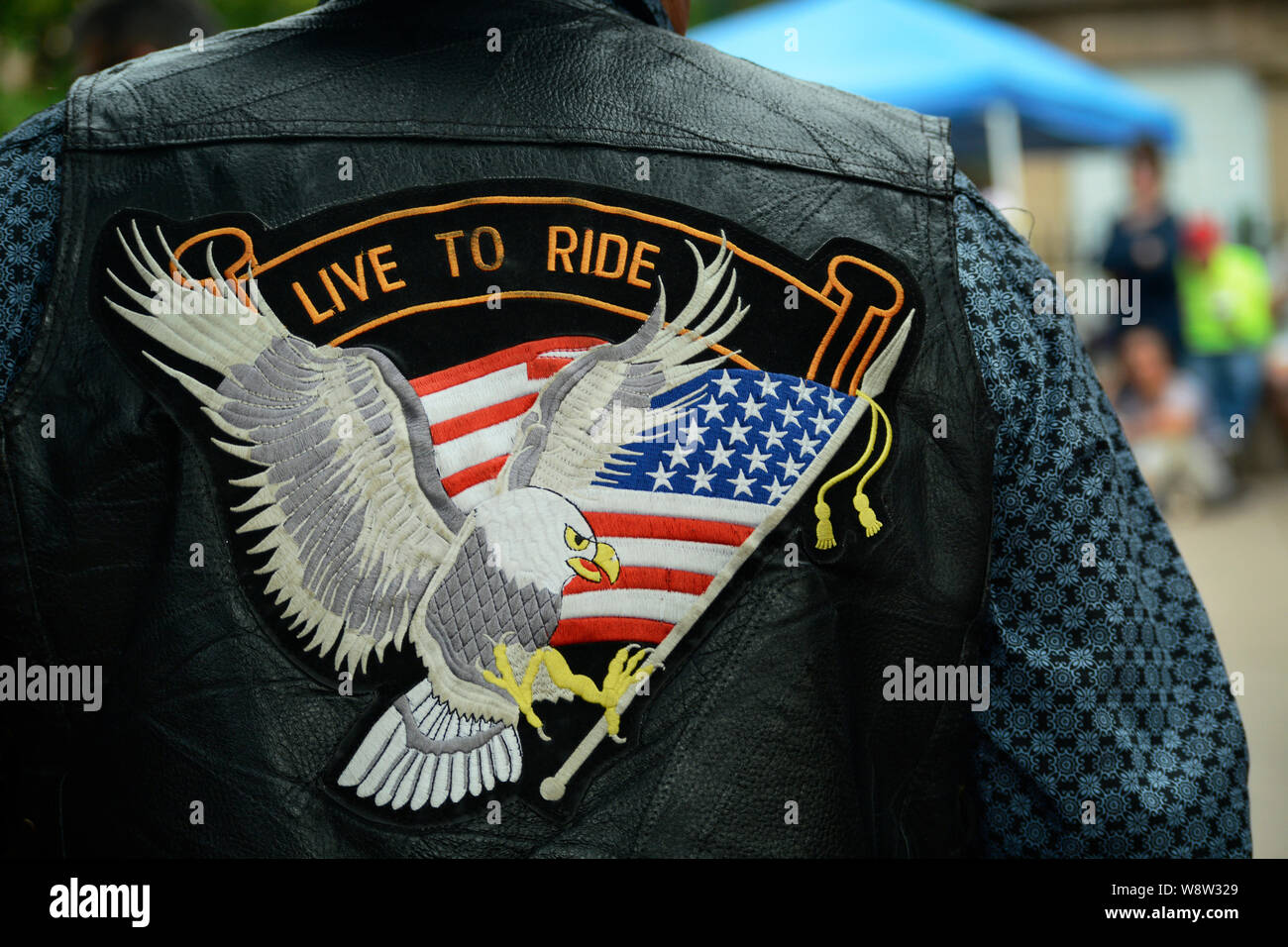 Bald Eagle With American Flag Jacket