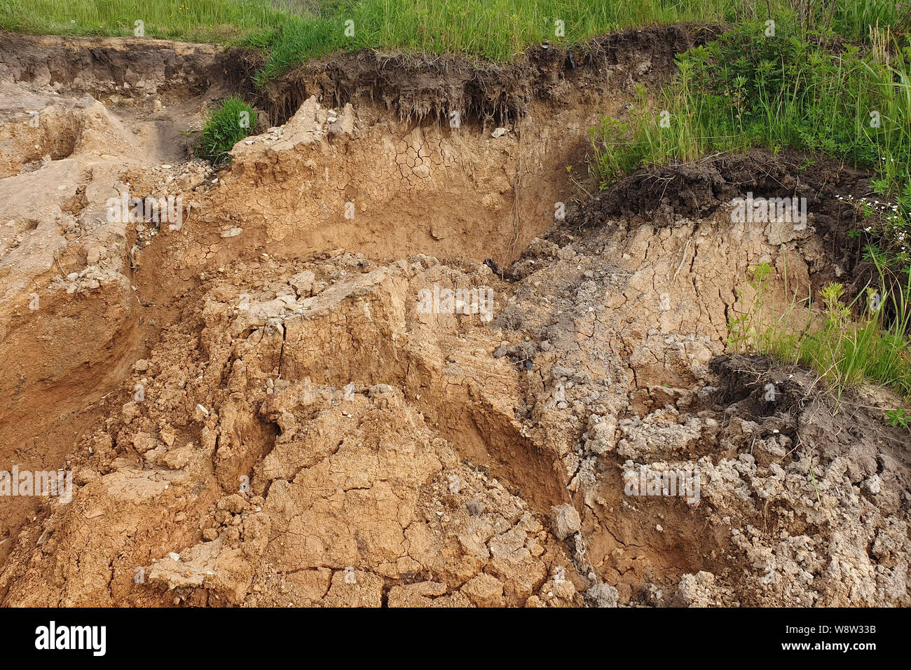 Soil cross section roots hi-res stock photography and images - Alamy