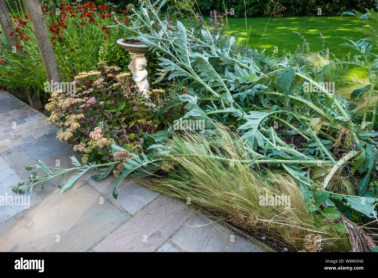 Wind damaged plant hi-res stock photography and images - Alamy