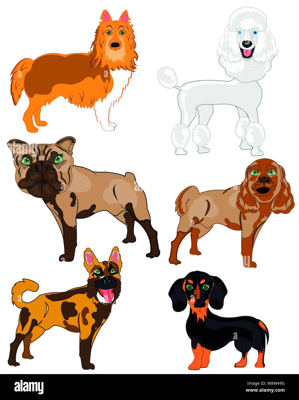Vector illustration of the dogs of the varied sorts Stock Vector Image ...