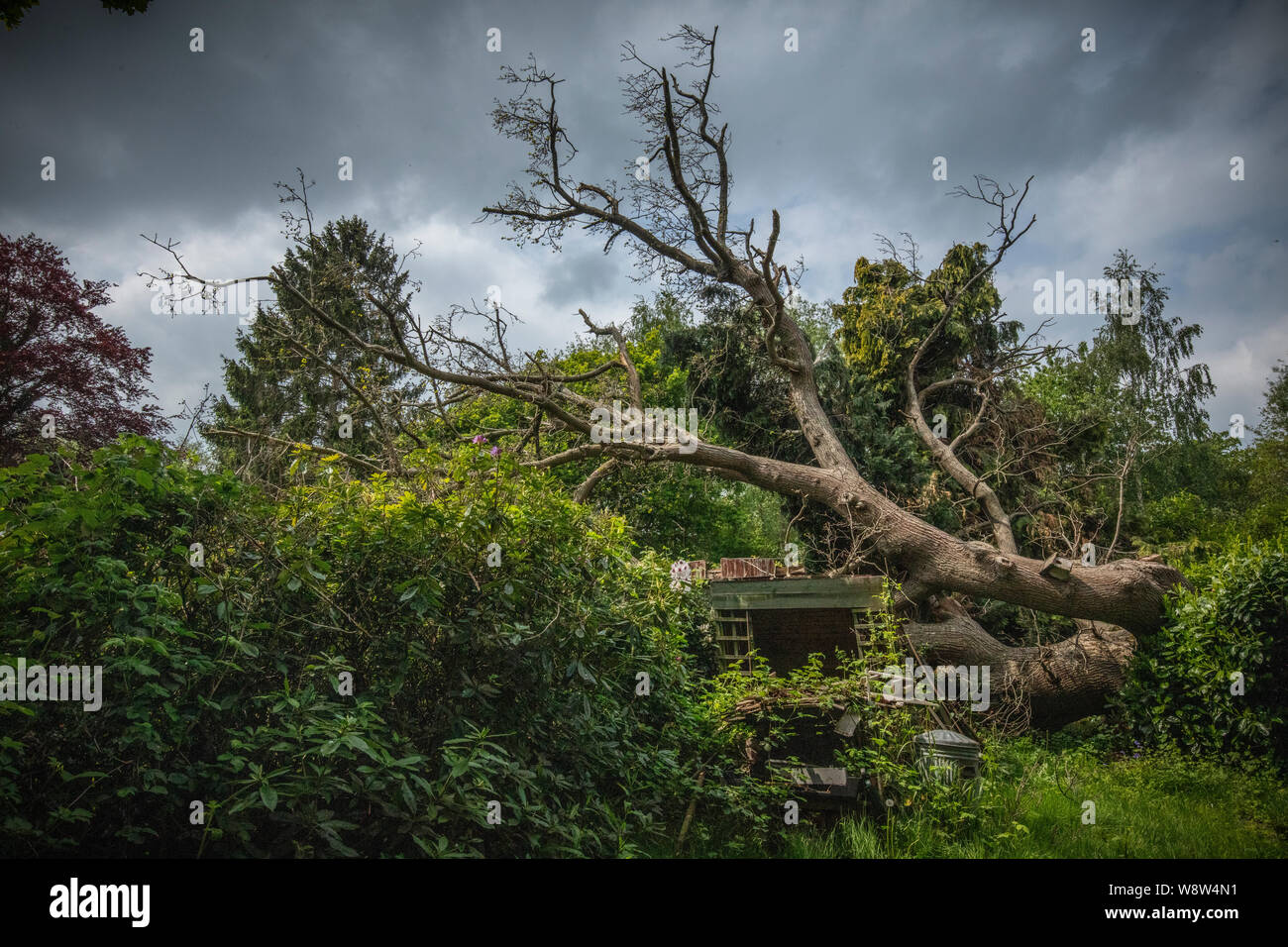 Ton in garden hi-res stock photography and images - Alamy