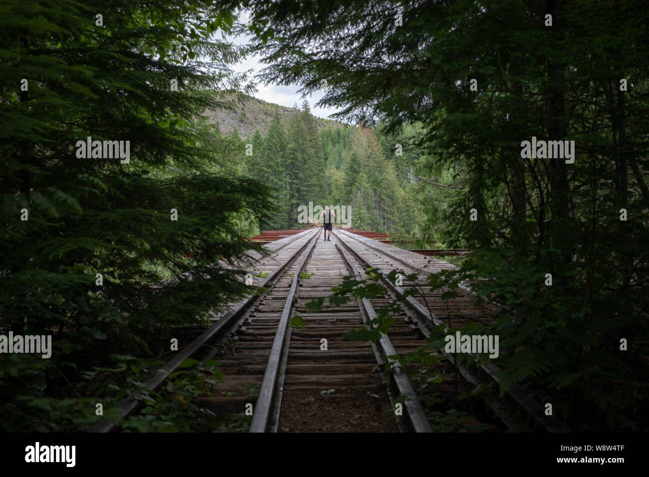 Railroad on a bridge surrounded by greenery with a person in a backpack ...