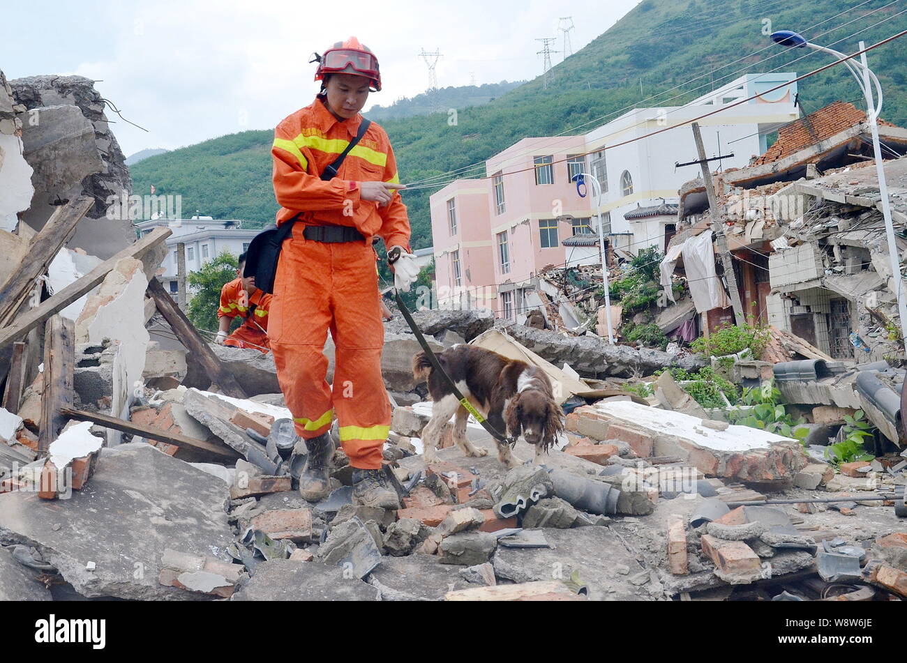 A Chinese rescuer directs a sniffer dog to search for survivors in the ...