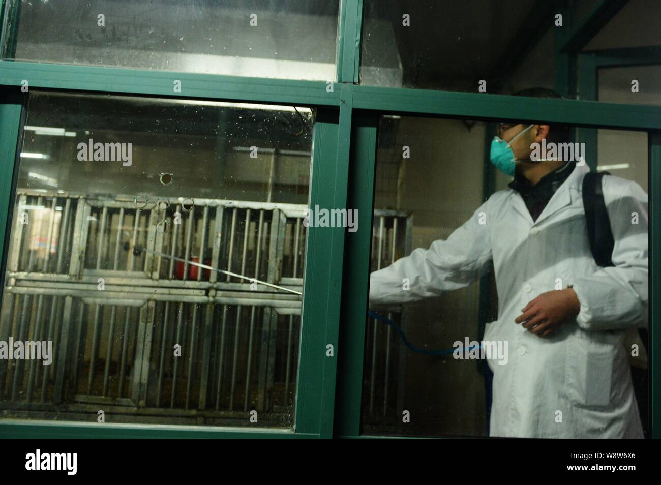 Empty cages hi-res stock photography and images - Alamy