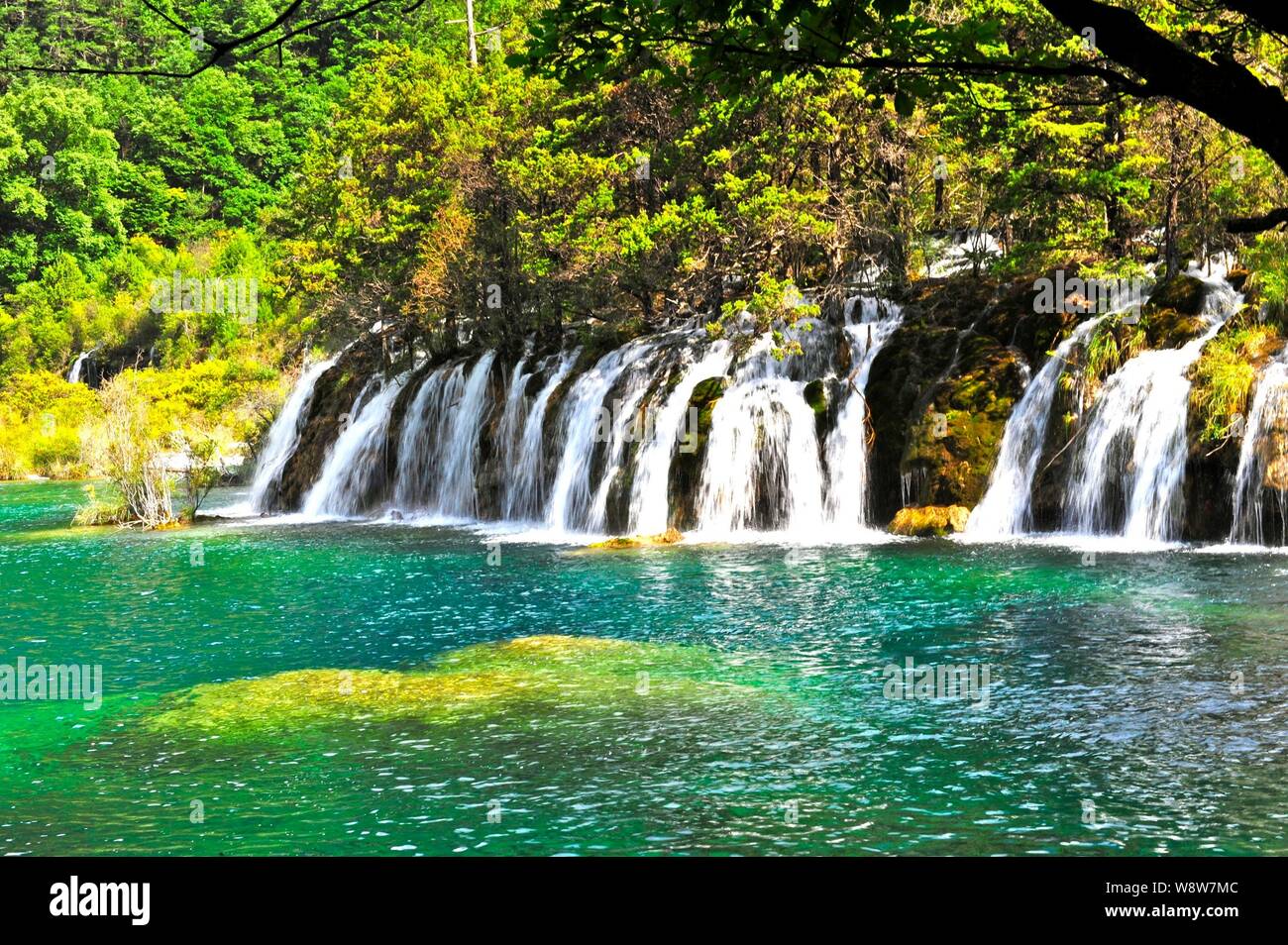 Landscape of waterfalls at Shuzheng Valley of Jiuzhaigou Valley in ...