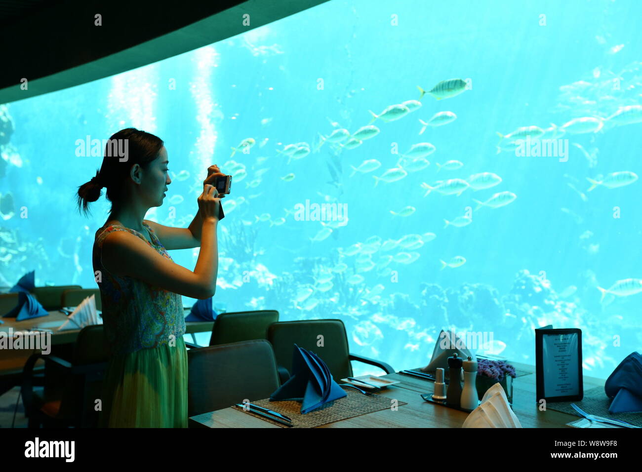 Photos of marine life hi-res stock photography and images - Alamy