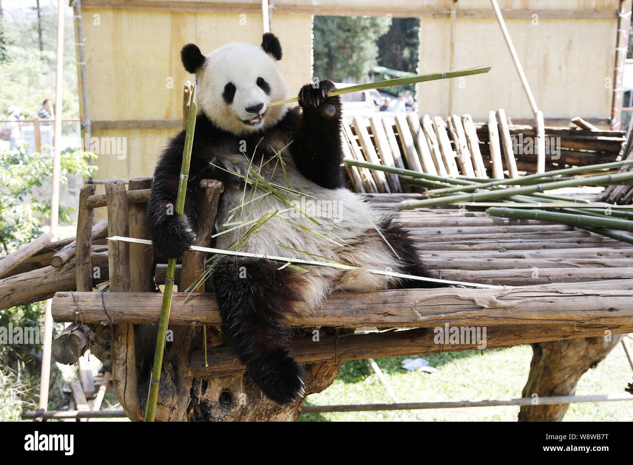 Two dimensio hi-res stock photography and images - Alamy